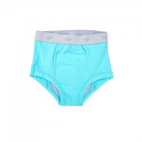 Reusable absorbent Underwear - by Conni
